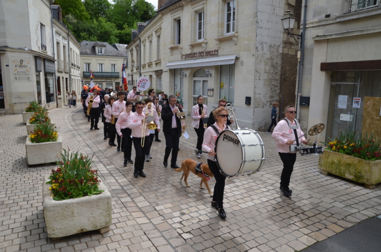 Ville de Luynes (Indre-et-Loire)